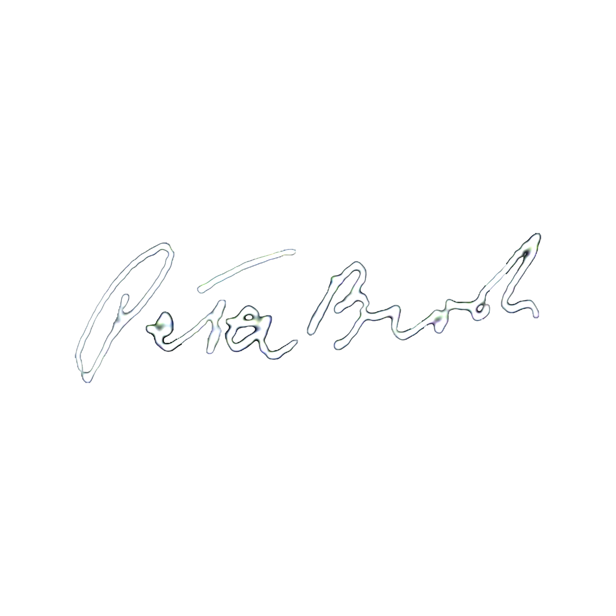 peterbrook.foundation - Association Peter Brook